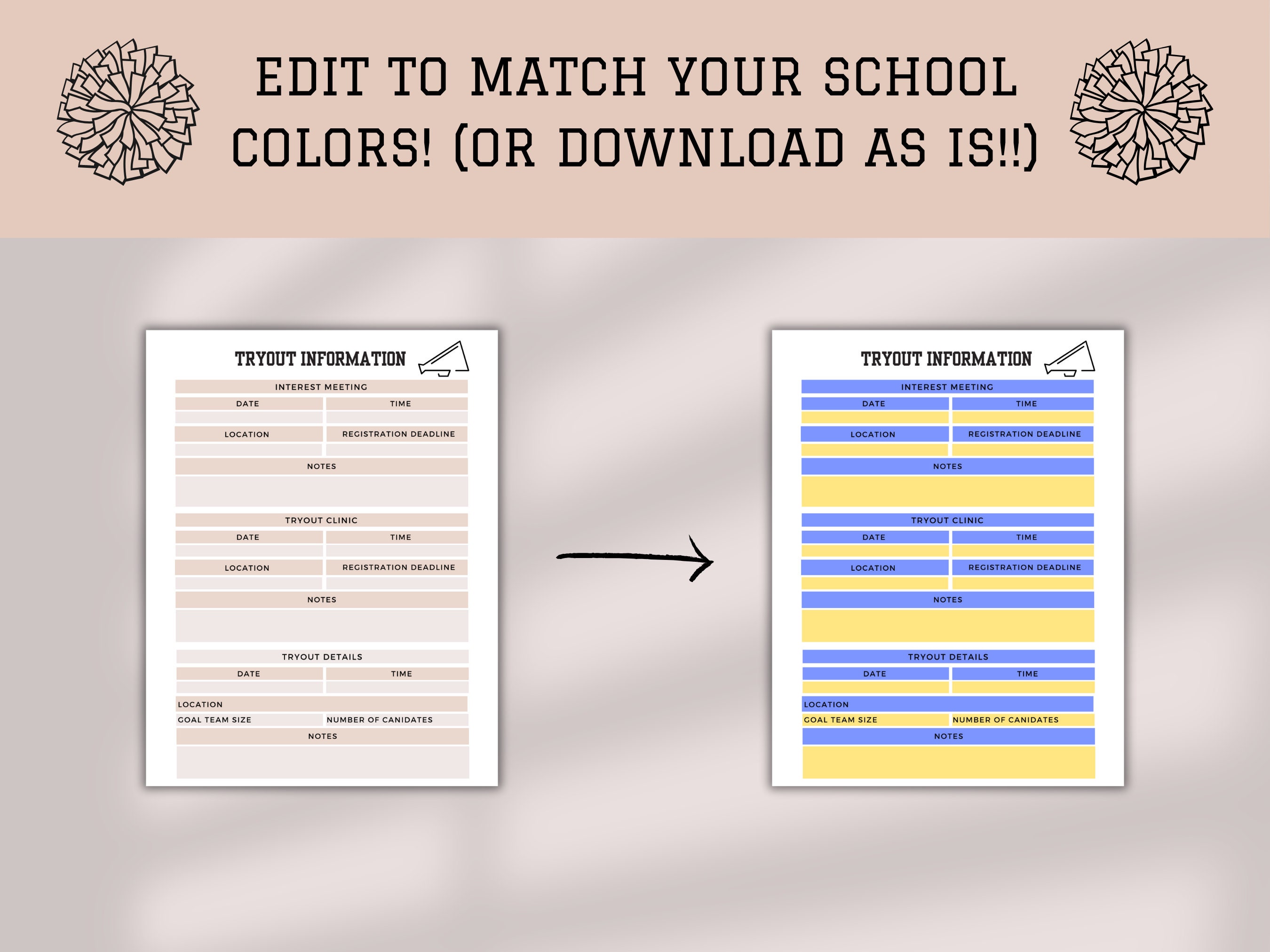 Editable Tryout Planner, Cheer Coach Planner, Printable, Canva Template ...