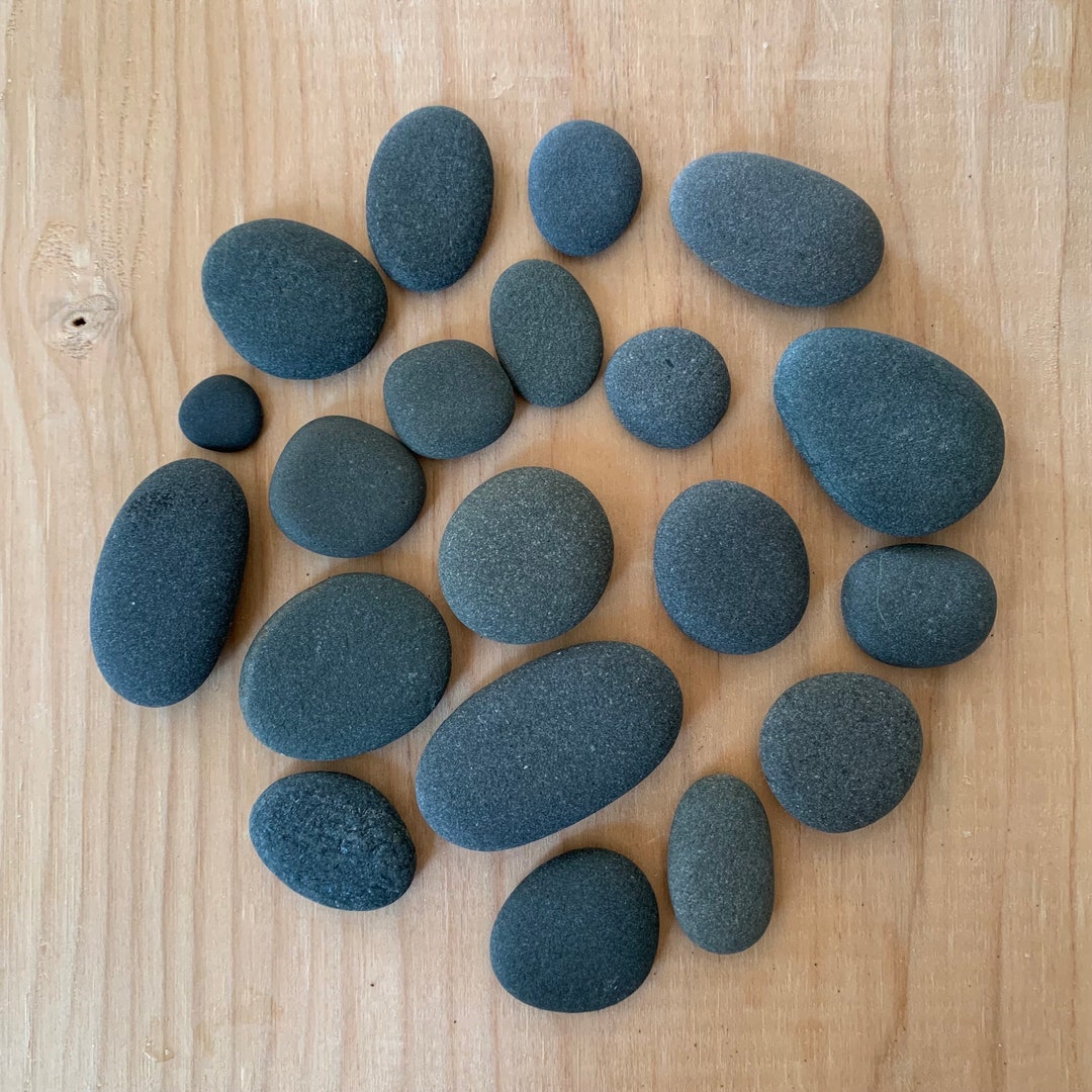 Lake Michigan Beach Pebbles for Crafting- 20pc- Smooth Gray Round ...