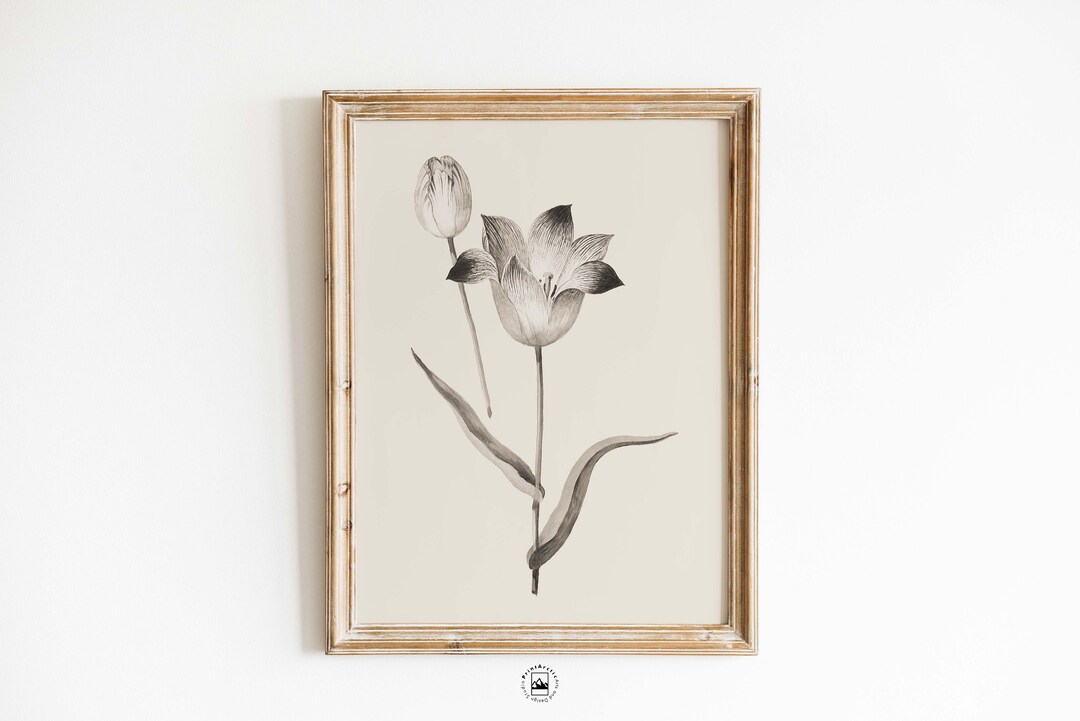 Tulip Flower Digital Print, Tulip Wall Art, Vintage Botanical Print ...