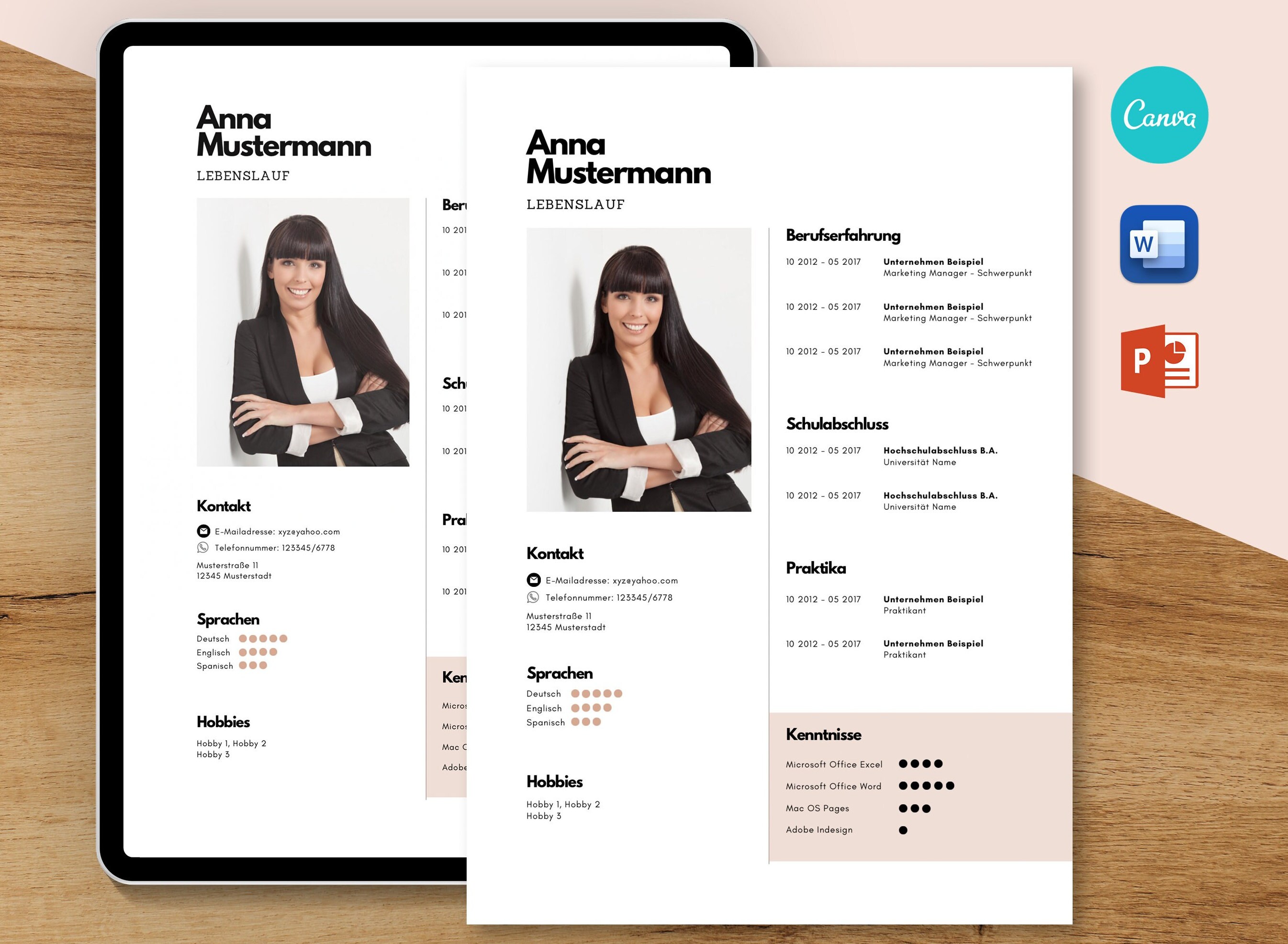 Modèle de CV professionnel, Modèle de CV de modèle d'application pour ...