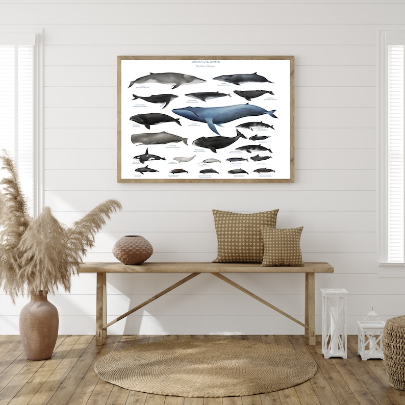 Whales of the World Print, Educational Marine Animals Poster (digital ...