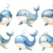 16 Cartoon Whale Clipart, Whale Illustration, Printable Watercolor ...