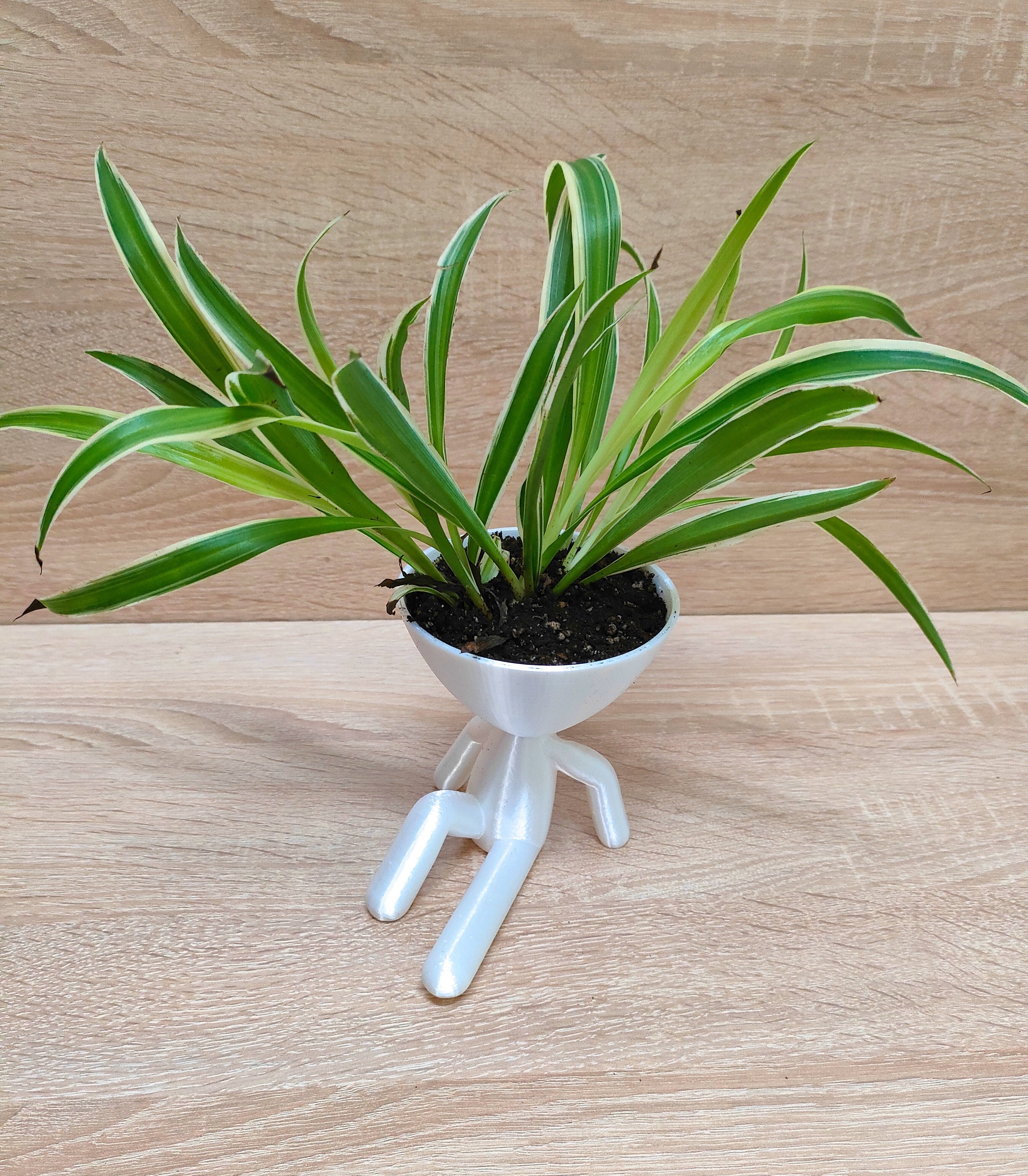 Human Pose Plant Pot Vase, 3d Printed Home Decor , People Planters ...