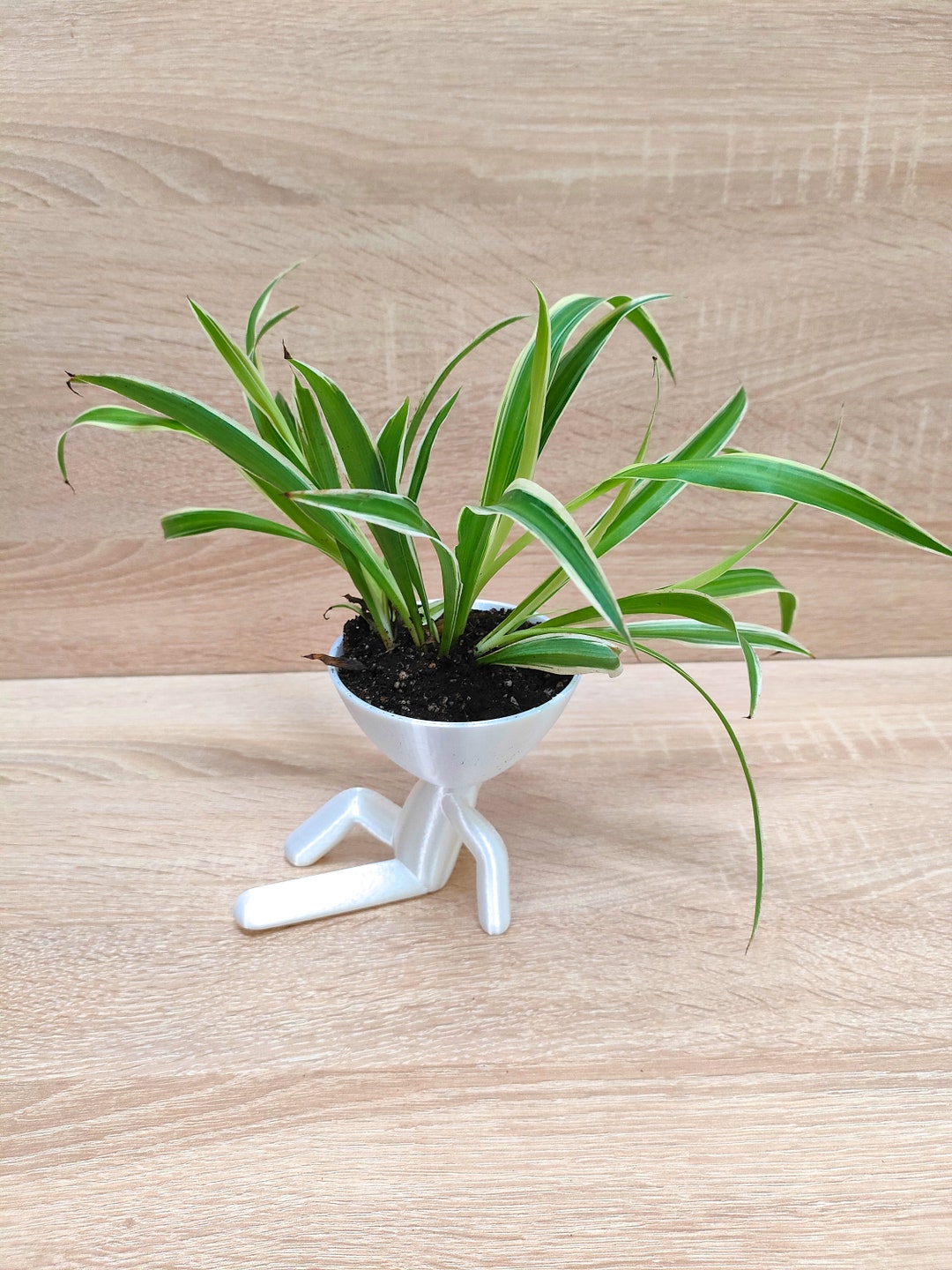 Human Pose Plant Pot Vase, 3d Printed Home Decor , People Planters ...
