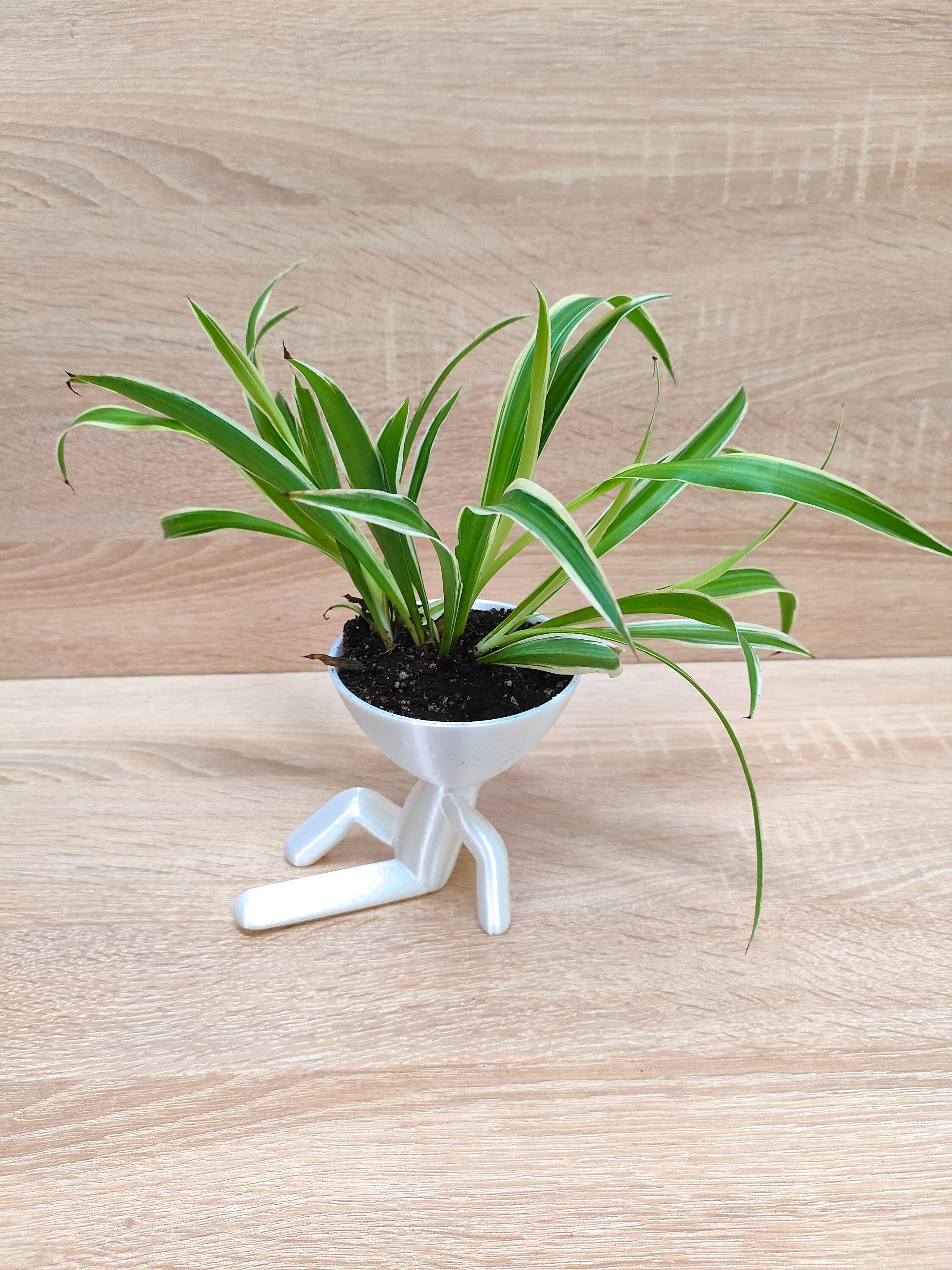 Human Pose Plant Pot Vase, 3d Printed Home Decor , People Planters ...