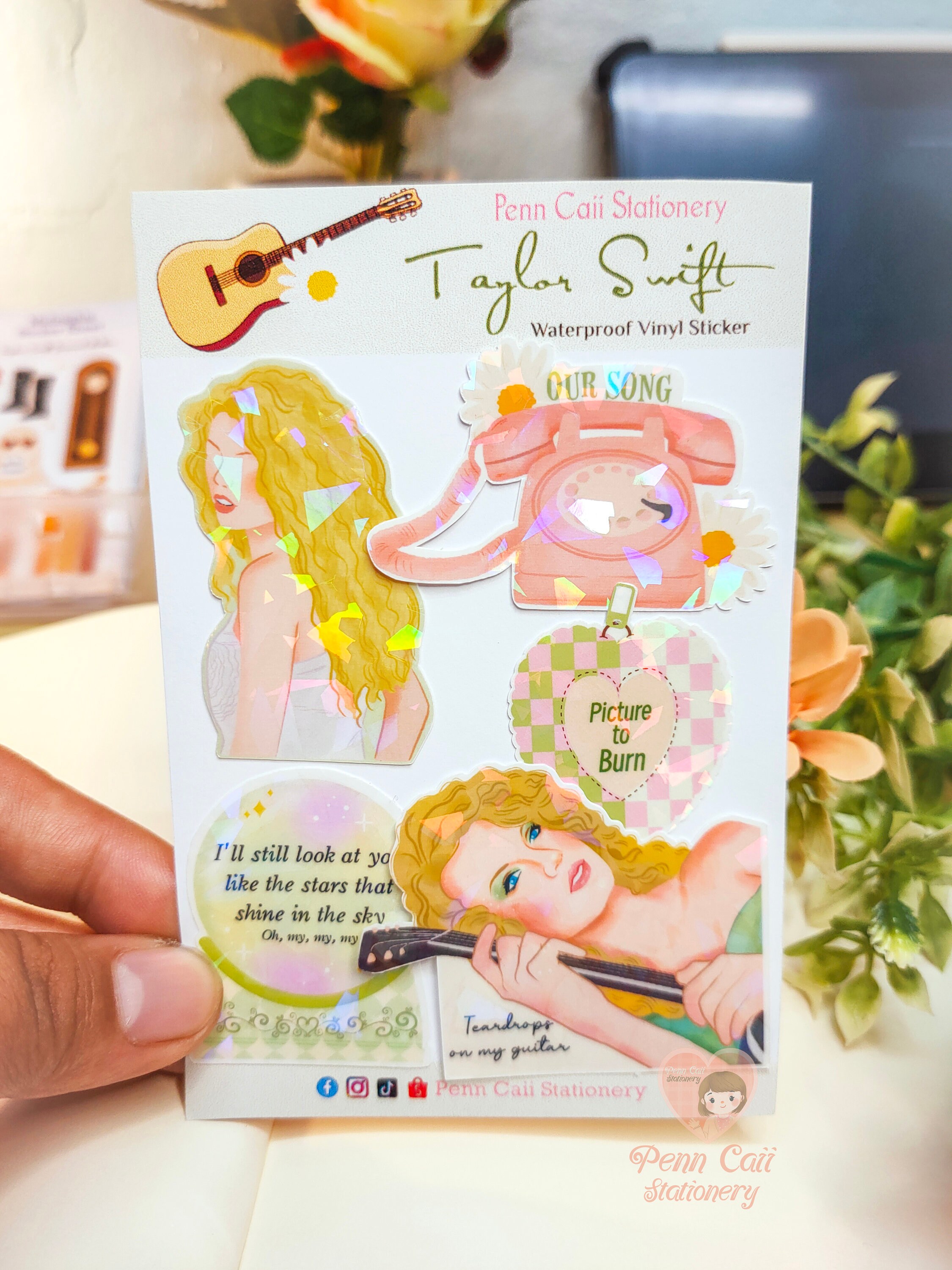 Taylor Swift Debut Album Sticker Pack TS Waterproof Sticker Penn Caii ...