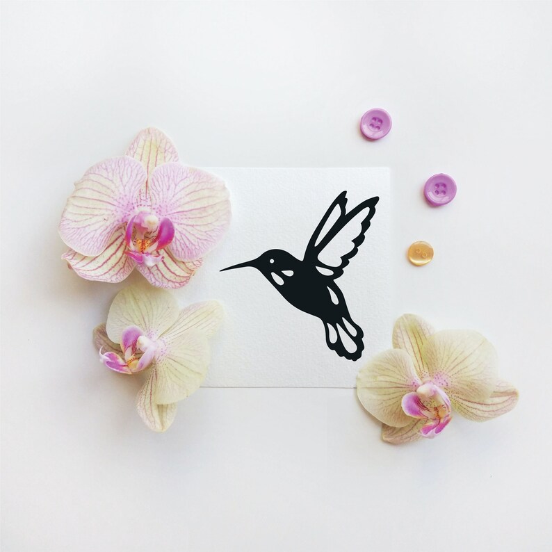 Hummingbird PNG Hummingbird SVG Birds Svgnature Svg - Etsy