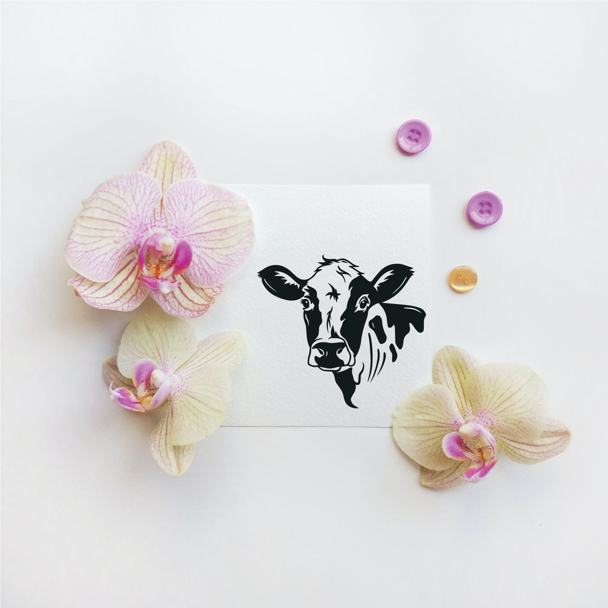 Cow Face SVG Cow SVG Cow Animal SVG Cow Head Svg Cow Skull Svg Dairy ...