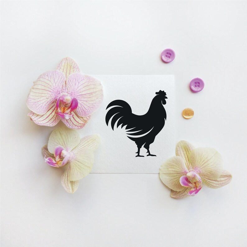 Pollo SVG / Gallo SVG / Granja Gallo SVG / Gallo Gallo Svg / - Etsy España