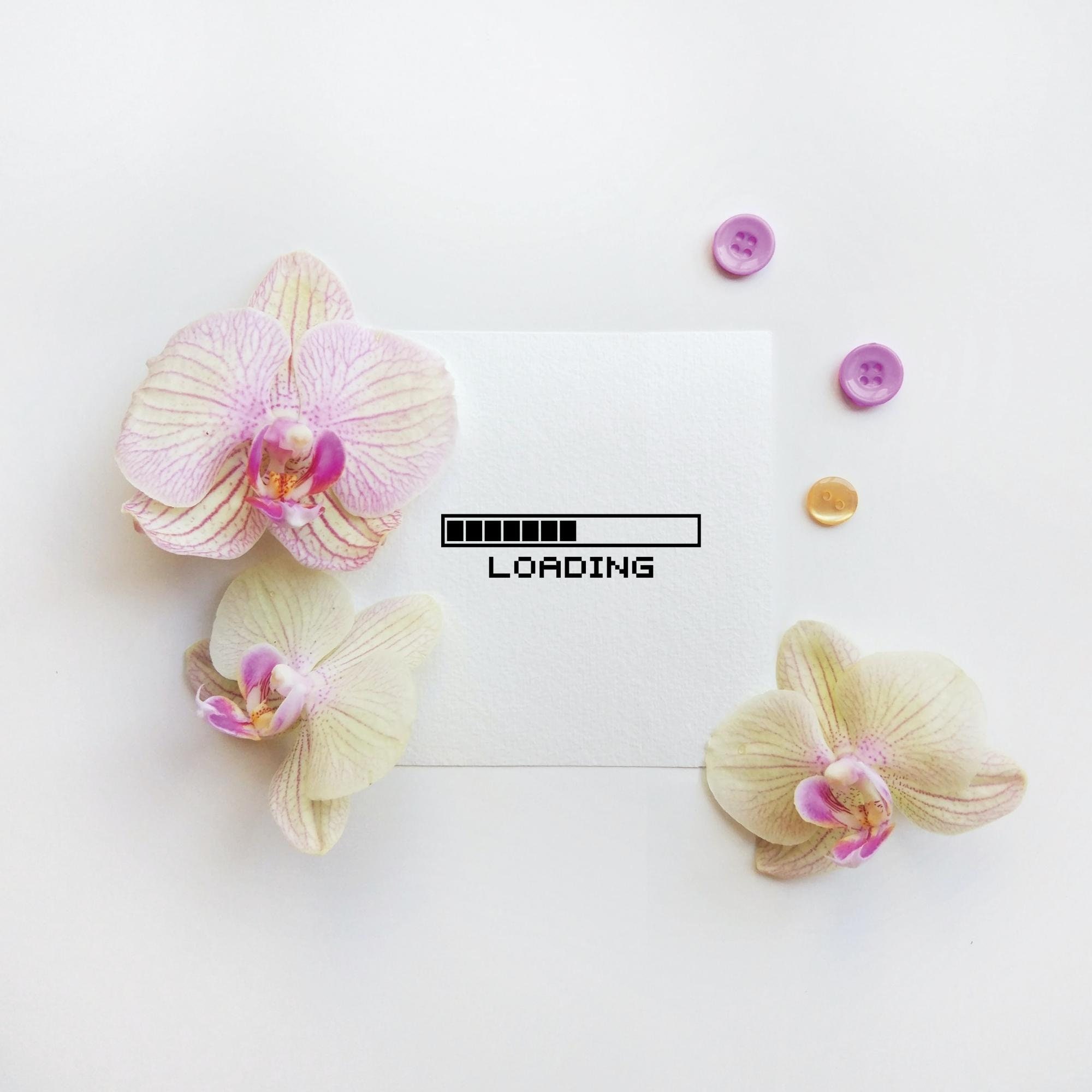 Baby Loading SVG Loading Svgloading PNG Pregnancy Svg Birthday Loading ...