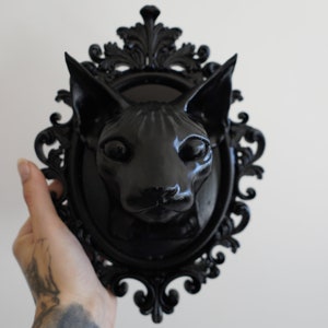 Sphynx Cat Frame. Baroque Frame. Cute Cat Victorian Goth Decor. Framed ...