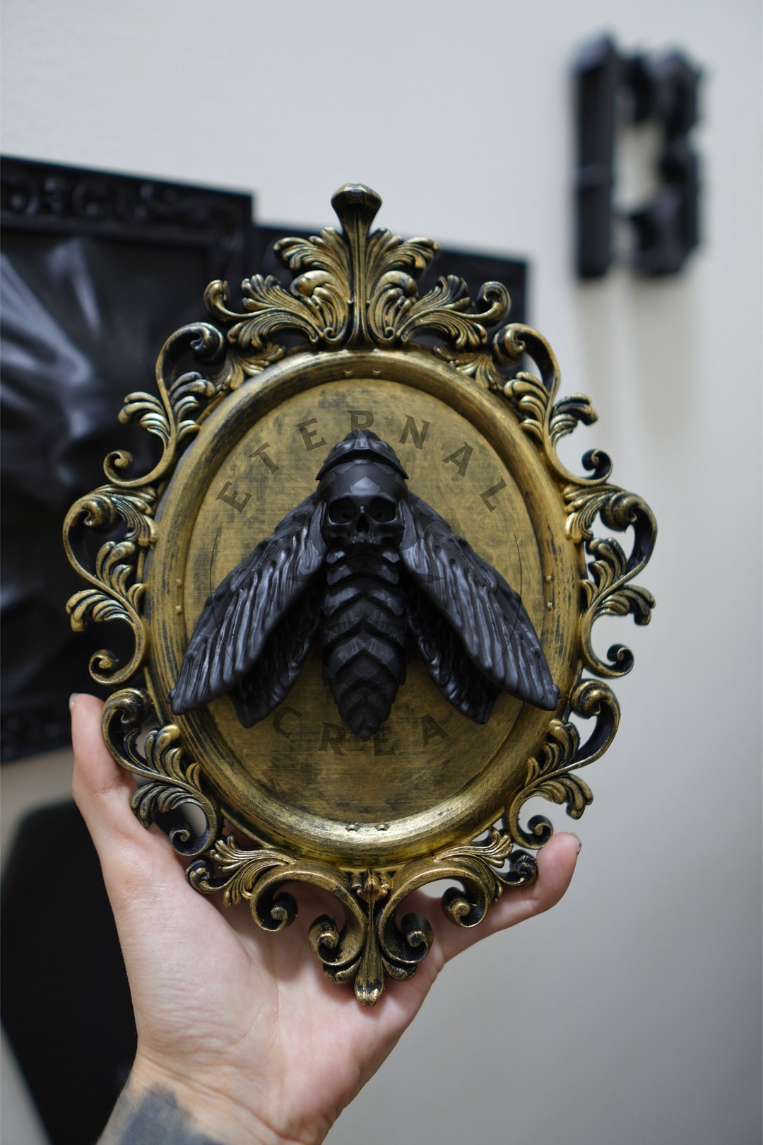 Death Moth Gothic Home Decor Autumnal Home Decor Framed Insects - Etsy