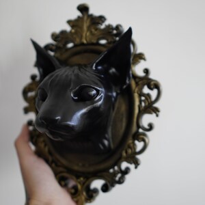Sphynx Cat Frame. Baroque Frame. Cute Cat Victorian Goth Decor. Framed ...