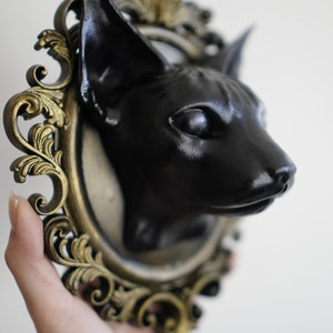 Sphynx Cat Frame. Baroque Frame. Cute Cat Victorian Goth Decor. Framed ...
