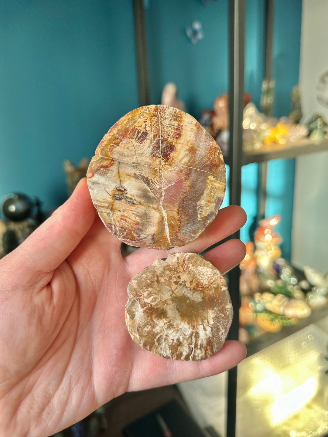 Mini Petrified/fossilised Wood Crystal Slabs - Etsy