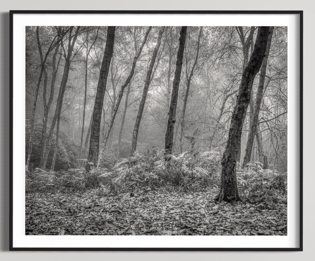 Landscape Photography, Photography Prints, Wall Art Print, Wall Decor ...