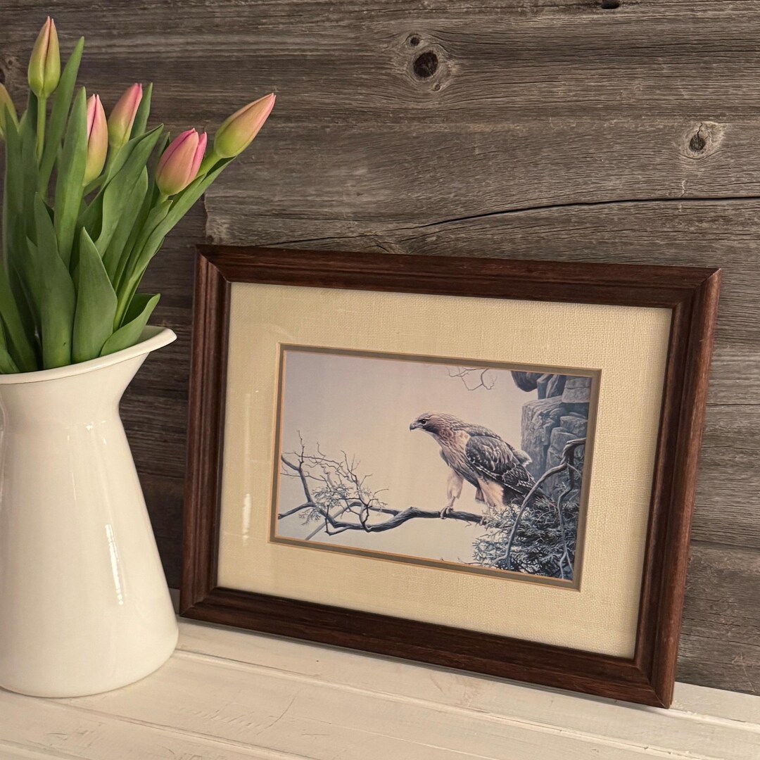 Vintage Robert Bateman “red-tailed Hawk by the Cliff” ~ Wood Framed ...