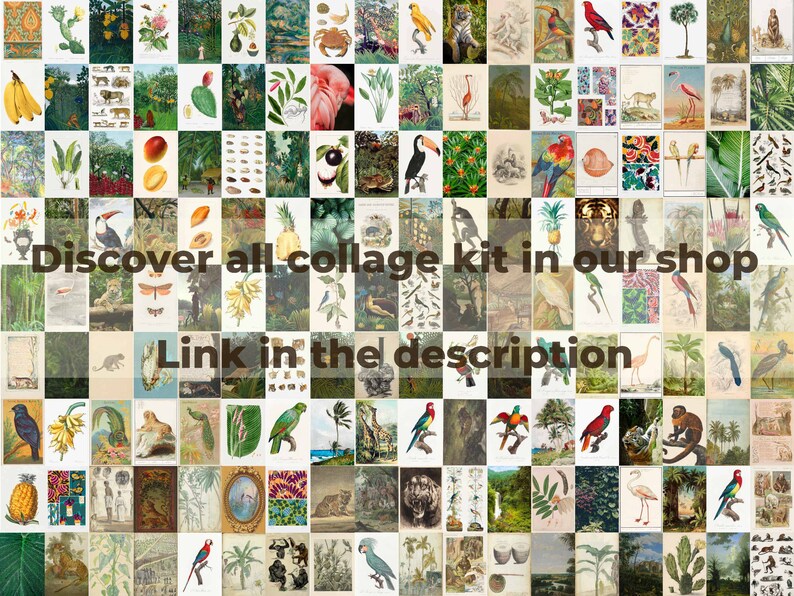 Vintage Animal Wall Collage Kit 200 PCS, Farmhouse Cottage Core Decor ...