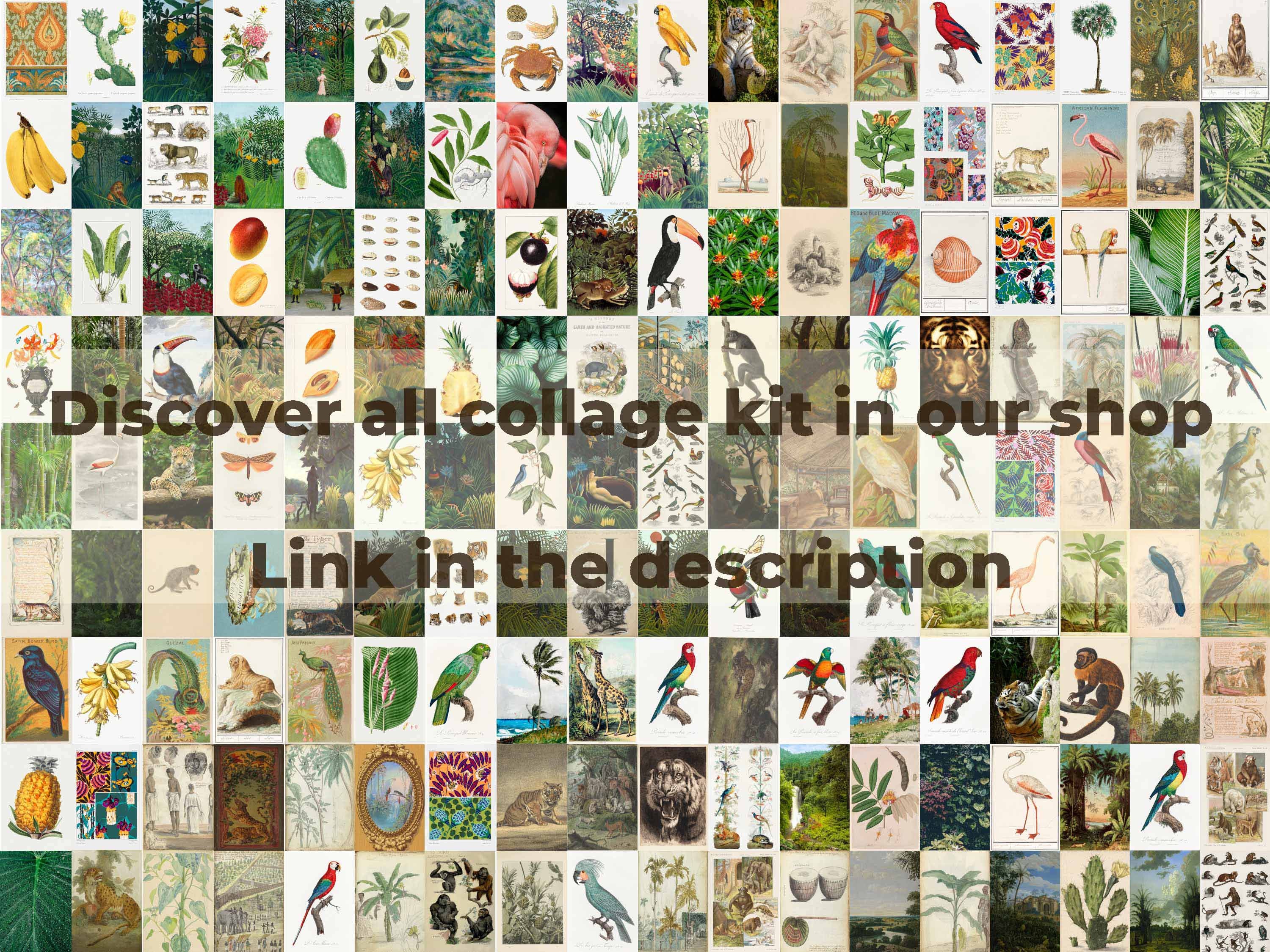 Vintage Animal Wall Collage Kit 200 PCS, Farmhouse Cottage Core Decor ...