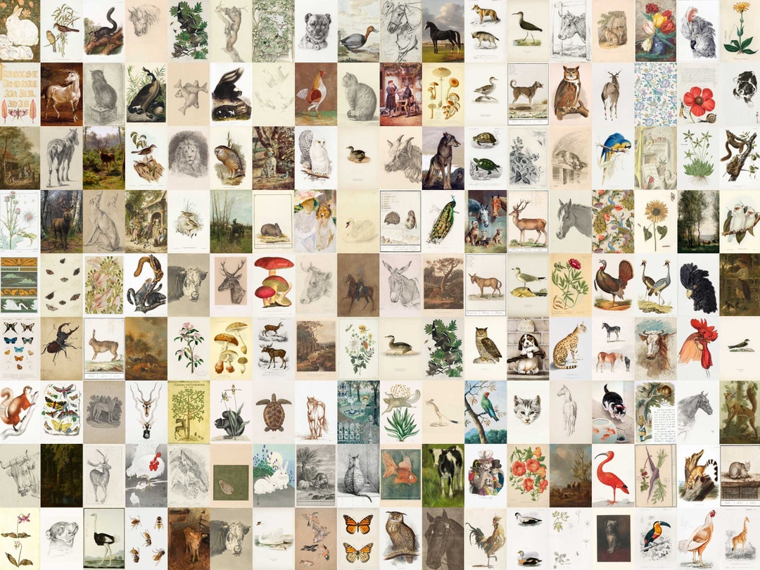 Vintage Animal Wall Collage Kit 200 PCS, Farmhouse Cottage Core Decor ...