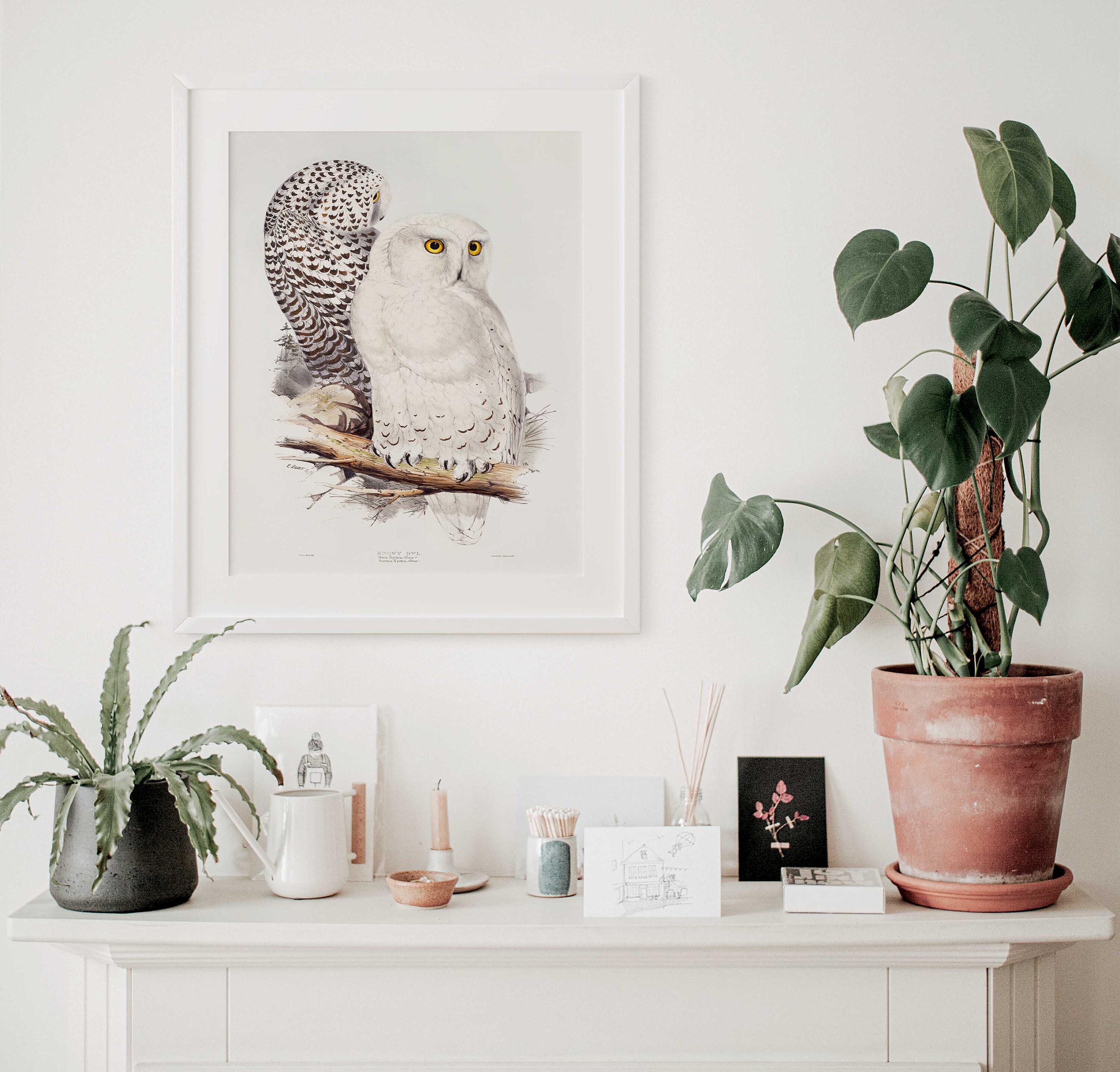 Vintage Animal Wall Collage Kit 200 PCS, Farmhouse Cottage Core Decor ...