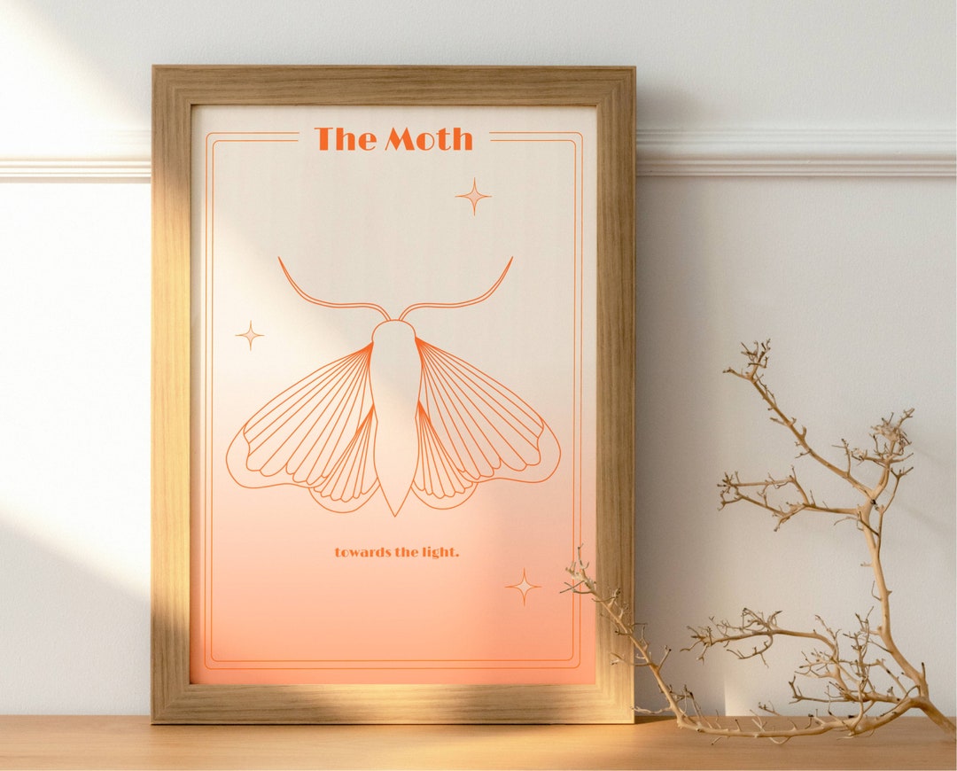 The Moth Spirit Guide: Spirit Animal, Affirmation, Mantra, Insect ...