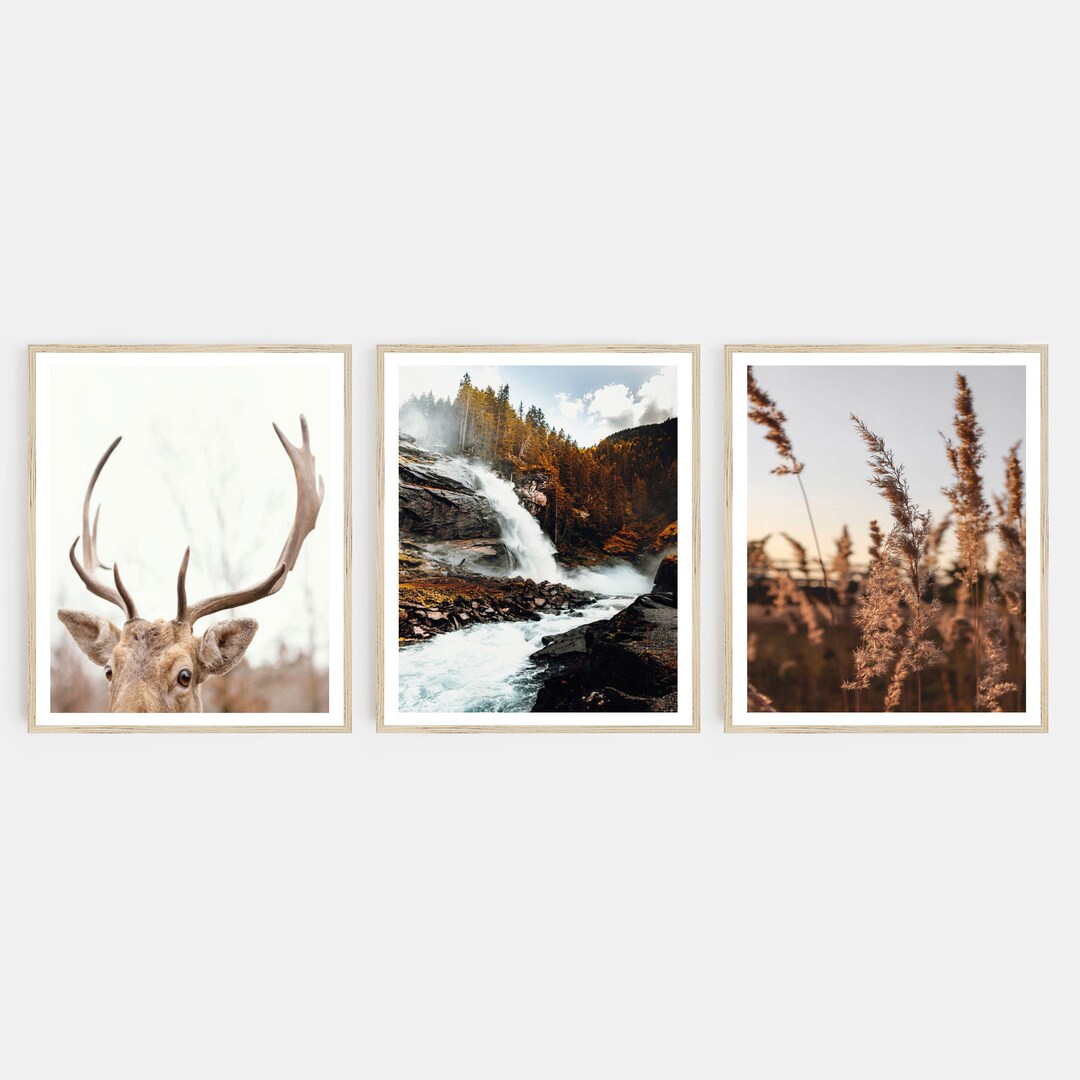 Forest Scenery Posters Set of 3 Deer Forest Waterfall - Etsy