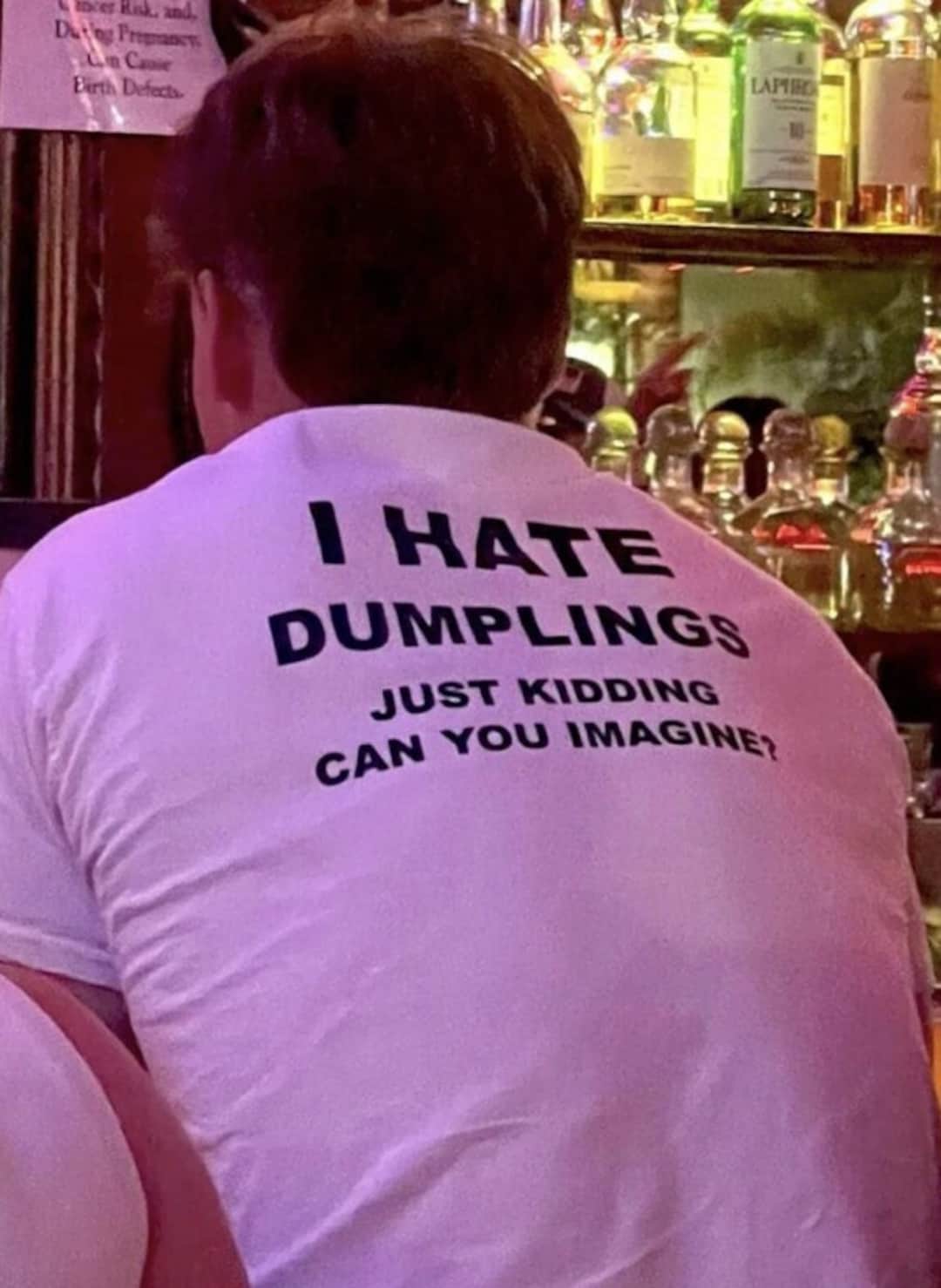 I Hate Dumplings Just Kidding Can You Imagine Unisex Tee Y2k Cursed T ...