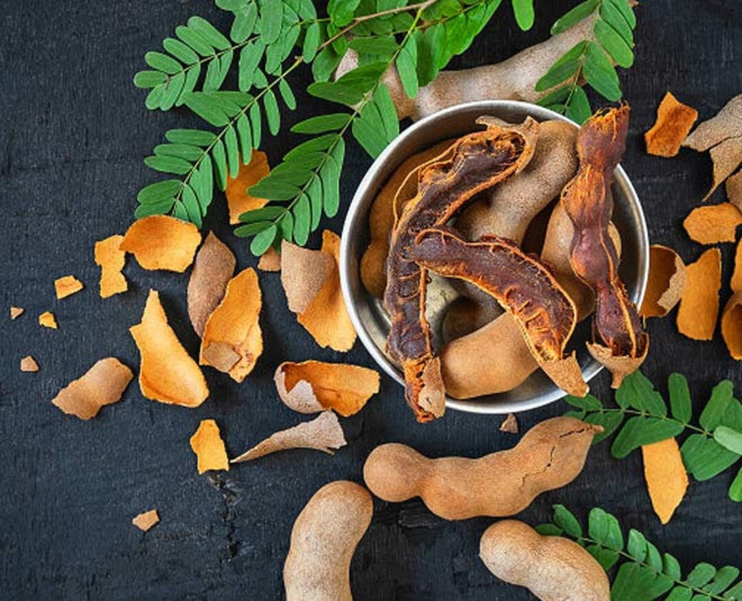 Pure Tamarind Seeds Imli Imli Beej Imli Beej Pahadi Wild - Etsy