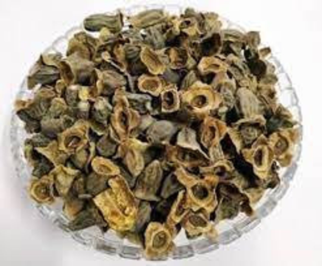 Bay Khumba-careya Arborea-vakumbha-kumbhi-baikhumba - Etsy