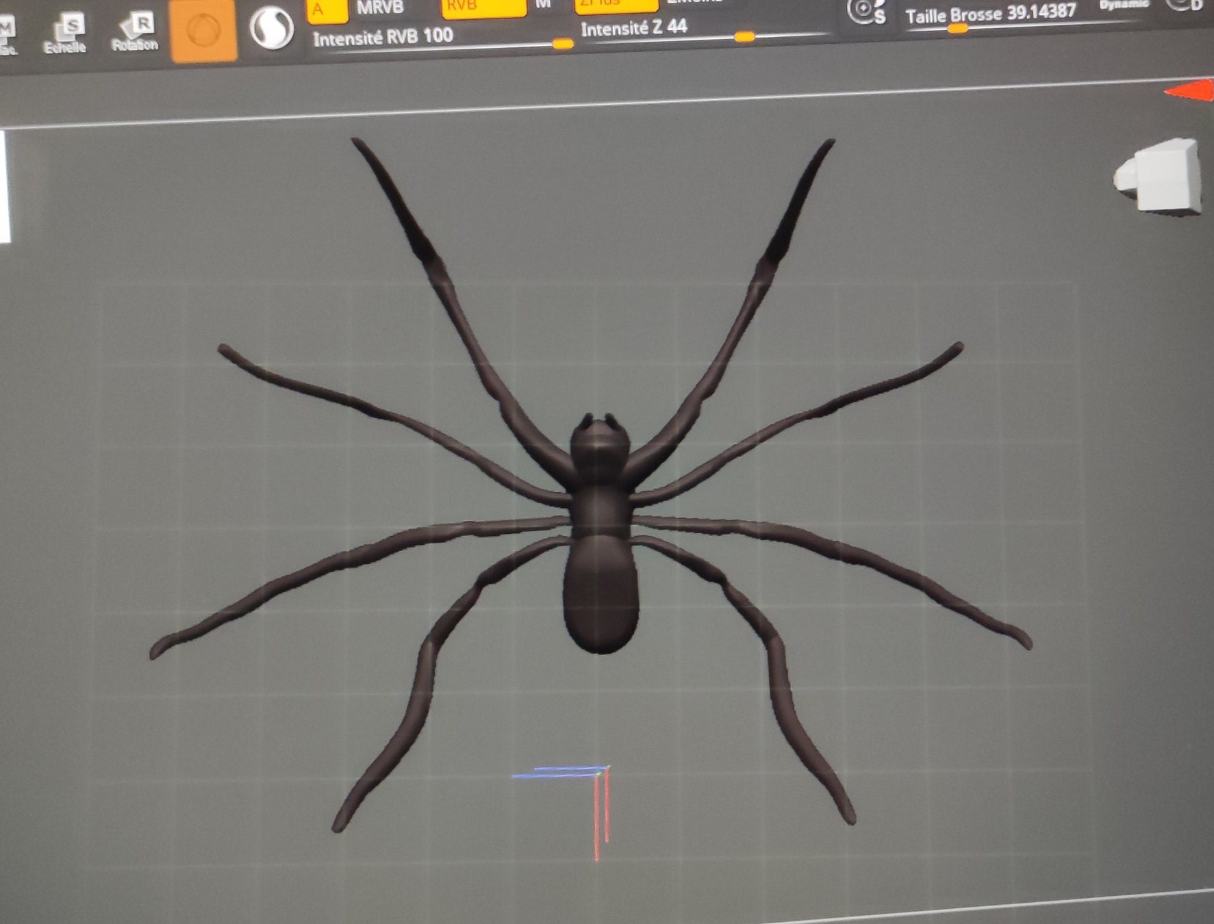 3D Model : Spider - Etsy