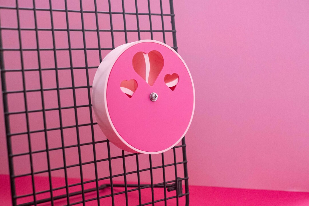 Pink Valentine Large Foraging Wheel Medium/large Parrots - Etsy