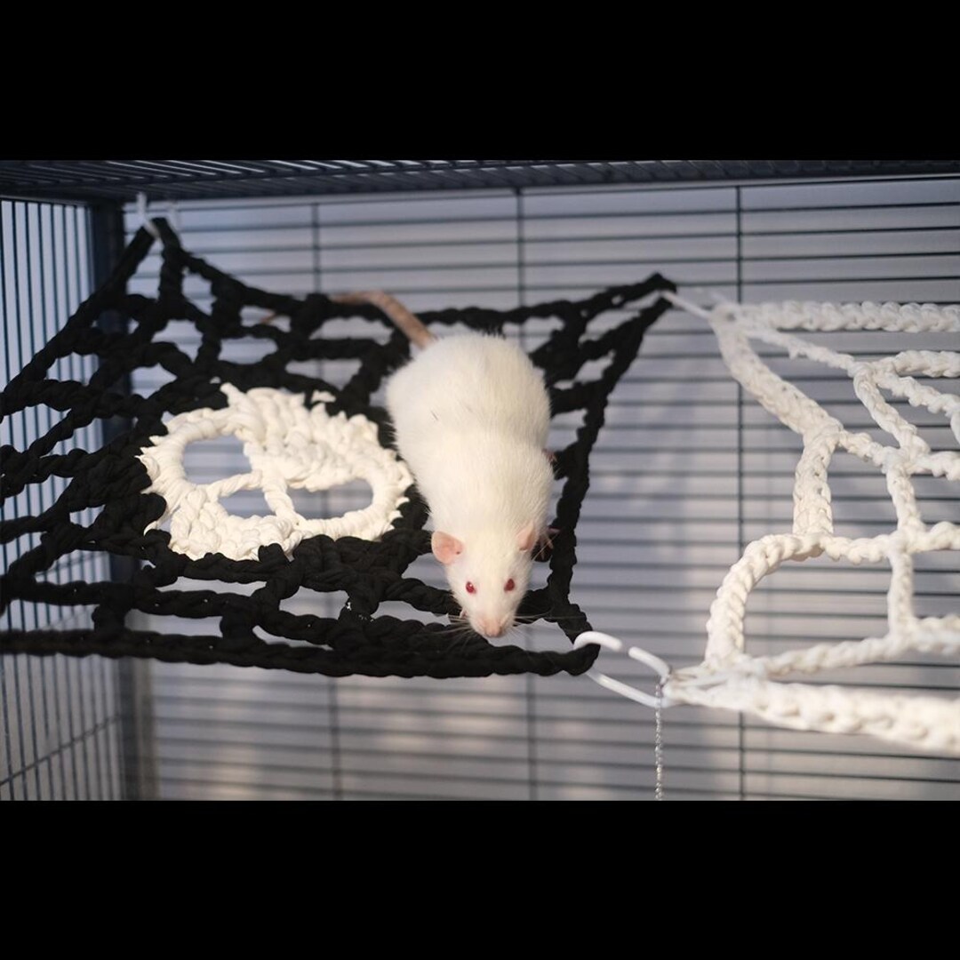 Skull Fall Breaker Net for Rats - Etsy UK