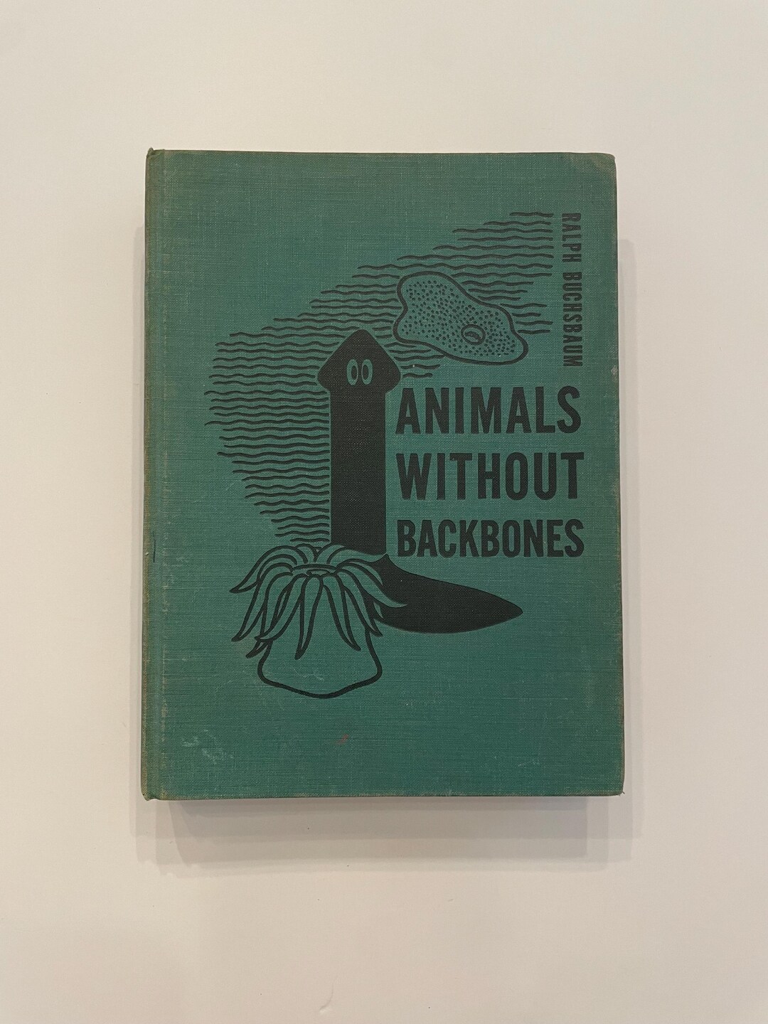 Animals Without Backbones 1957 by R. Buchsbaum - Etsy
