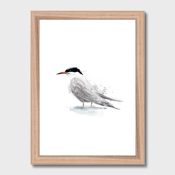 Common Tern - Etsy