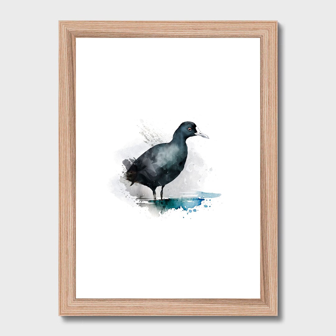 Coot Bird Print, Bird Painting, Bird Wall Art - Etsy