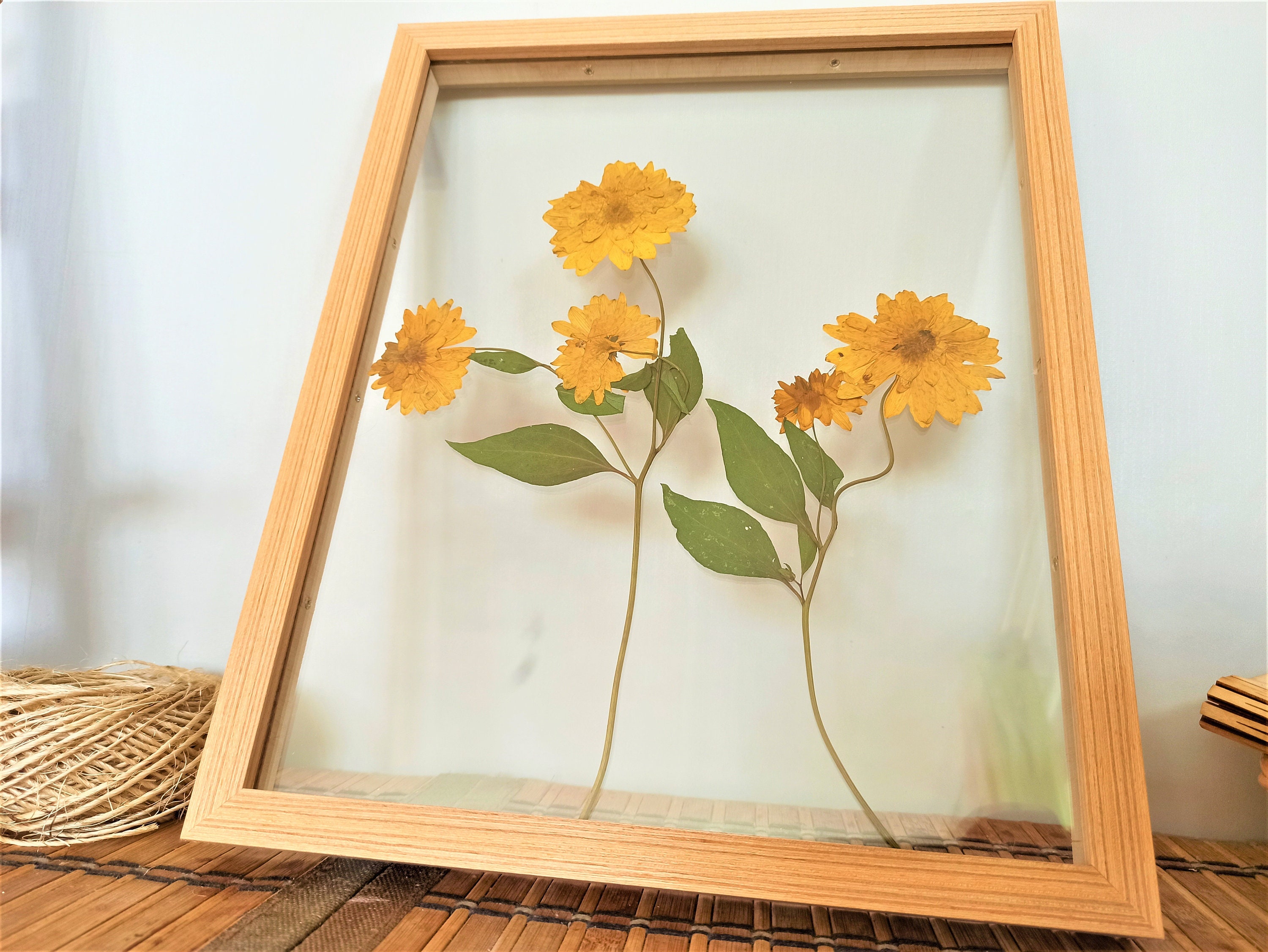 Pressed Flower Frame, Dahlia Wall Art, Pressed Dahlia Flowers, Dahlia ...