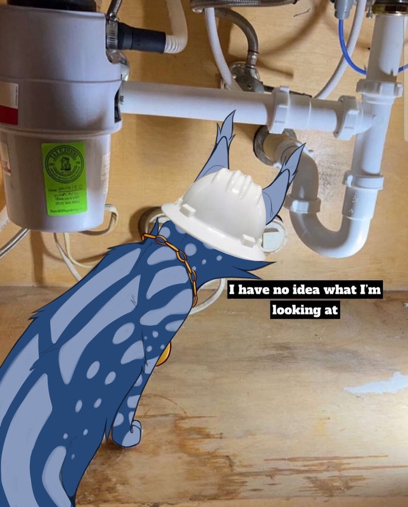 Custom Furry Meme Drawover and Cursed Discord Emote - Etsy Australia