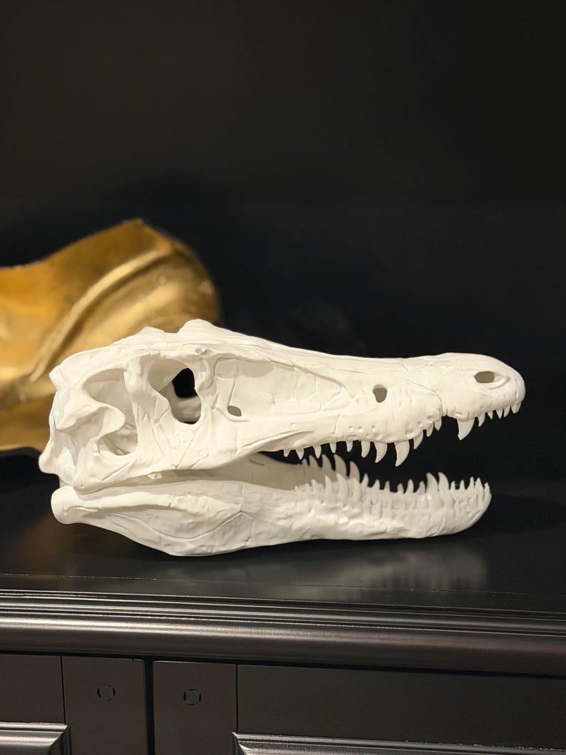 Baryonyx Skull – 12” Realistic Dinosaur Skull Replica | Fossil Decor ...