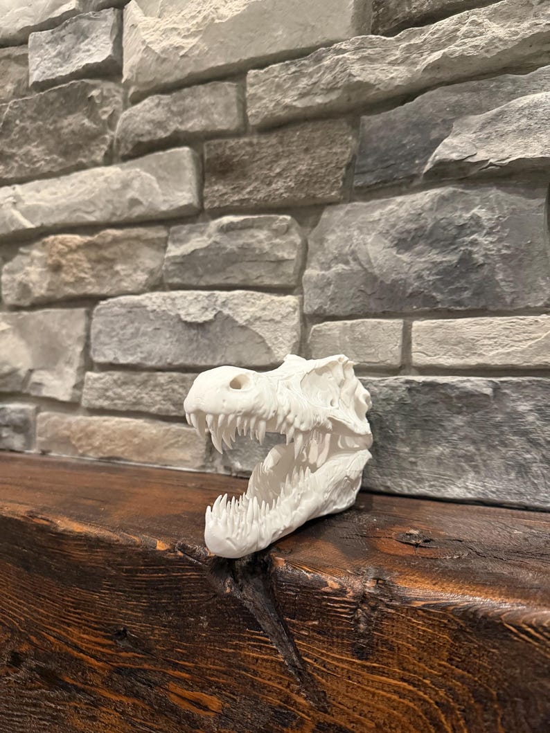 Baryonyx Skull – 12” Realistic Dinosaur Skull Replica | Fossil Decor ...
