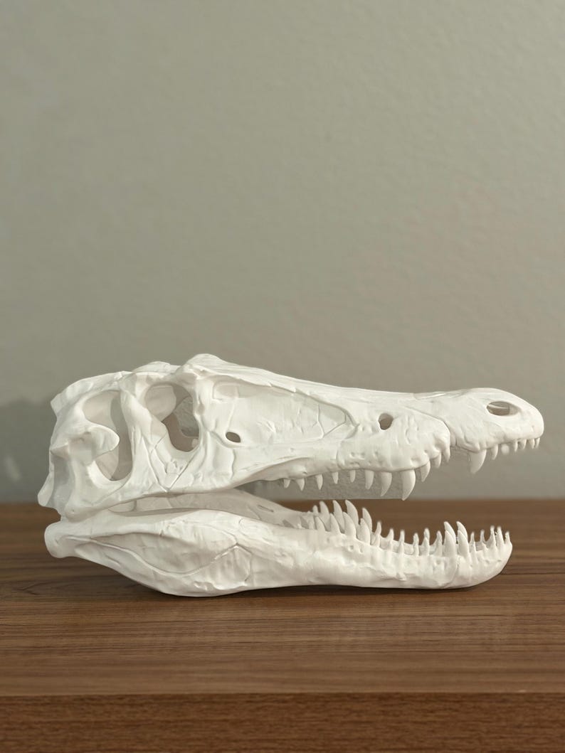Baryonyx Skull – 12” Realistic Dinosaur Skull Replica | Fossil Decor ...