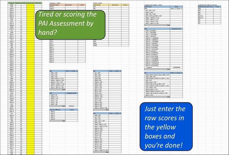 PAI Assessment Autoscoring Template - Etsy