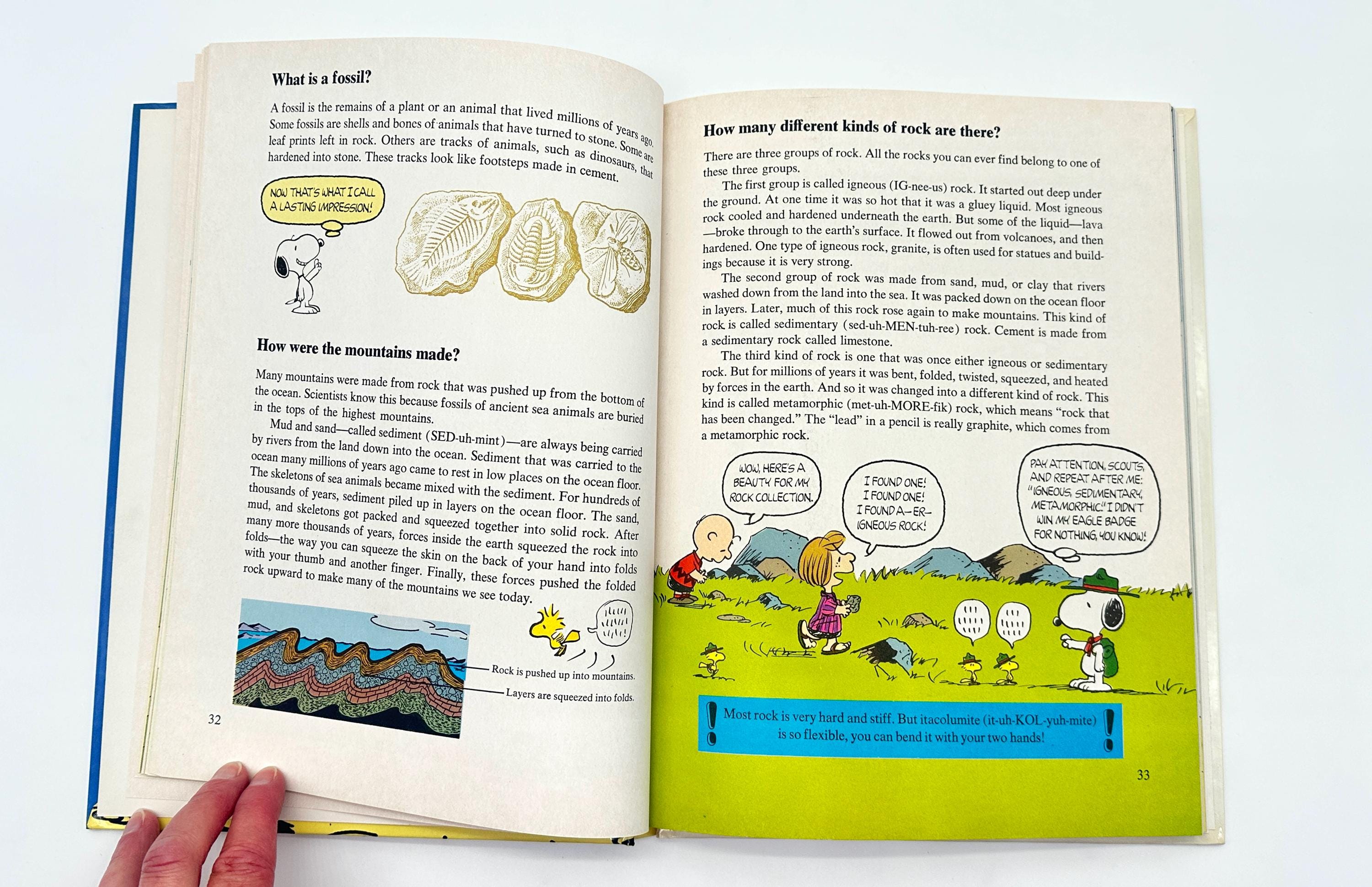 1977 Charlie Brown's Second Super Book of Questions and Answers ...