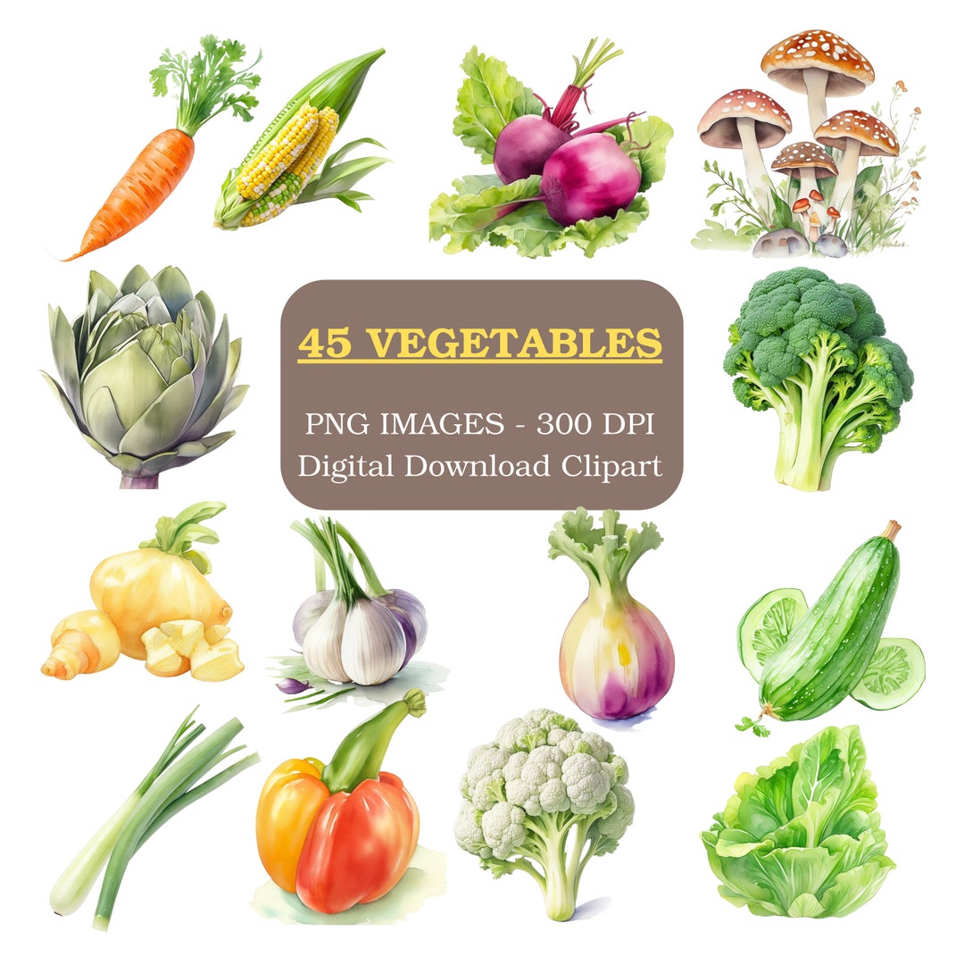 Watercolor Vegetable Clipart Collection | Watercolor Food Art | PNG 300 ...