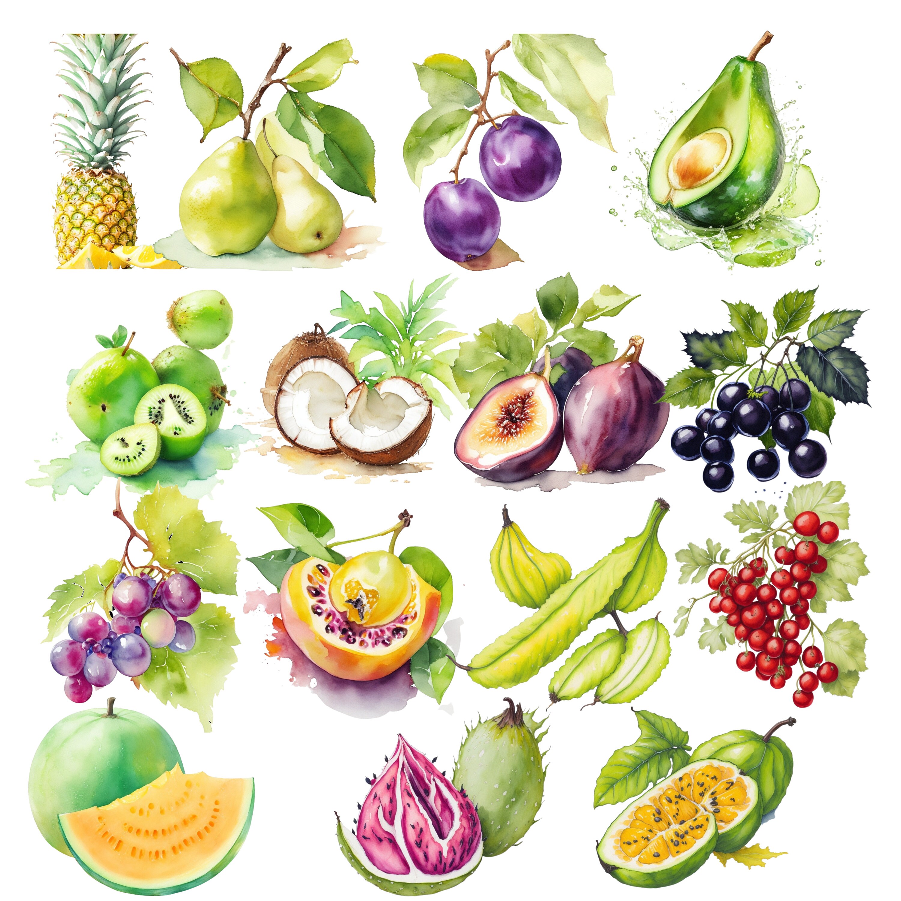 Watercolor Fruits Clipart Artwork Fruit Illustrations Creative - Etsy