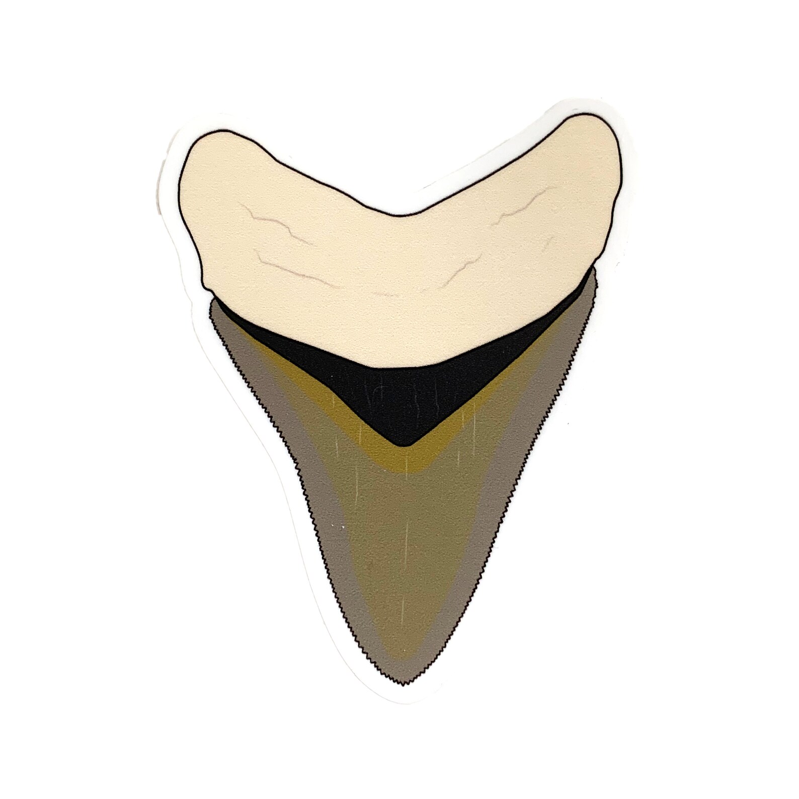 Fossil Shark Tooth Sticker - Etsy