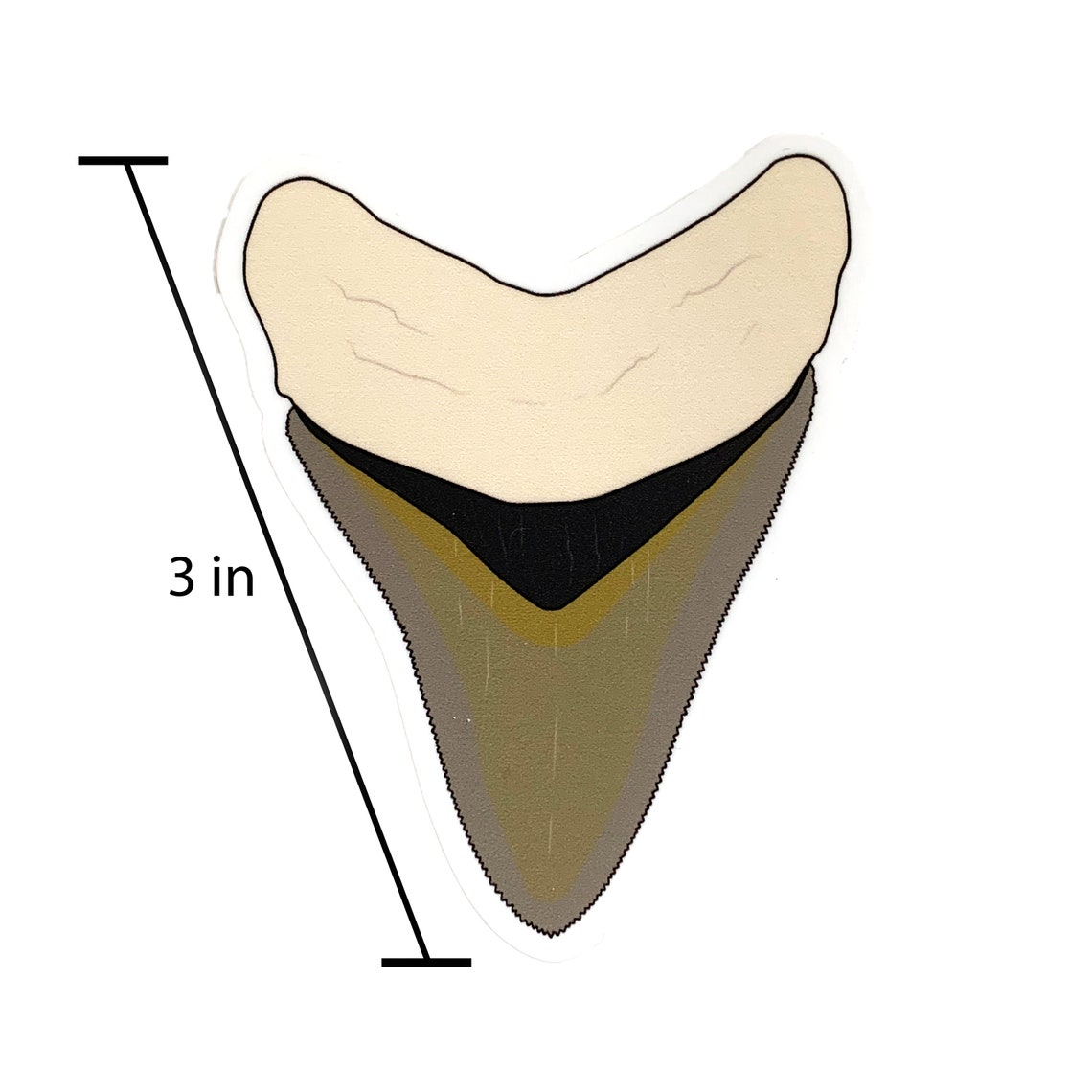 Fossil Shark Tooth Sticker - Etsy