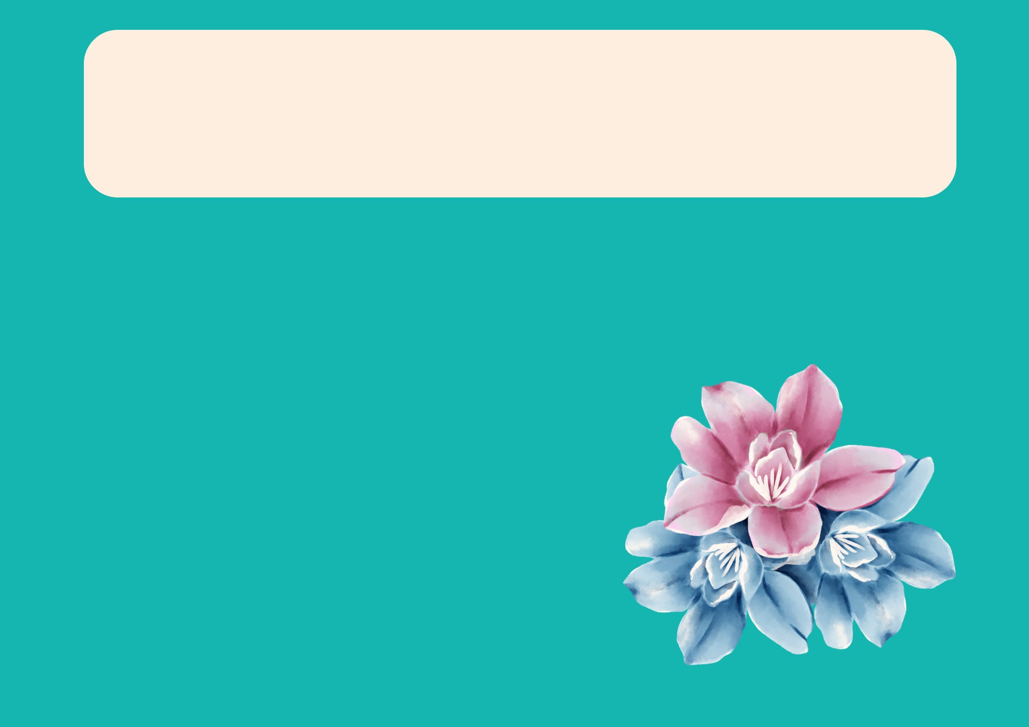 Cute Stylish Flashcards. 30 Different Styles - Etsy