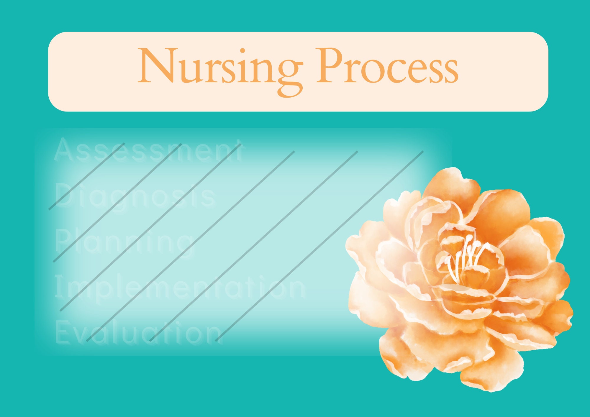 Nursing Mnemonics Flashcards. 17 Flashcards to Learn Important Nursing ...