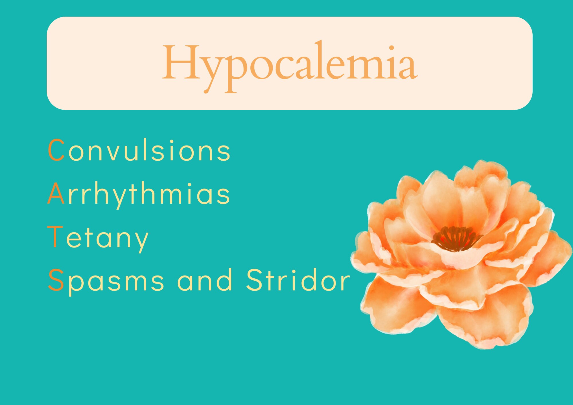 Nursing Mnemonics Flashcards. 17 Flashcards to Learn Important Nursing ...